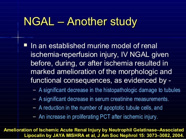 NGAL - Acute kidney injury biomarker