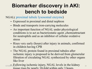 Ngal ,cystatin c versus creatinine clearence as | PPT