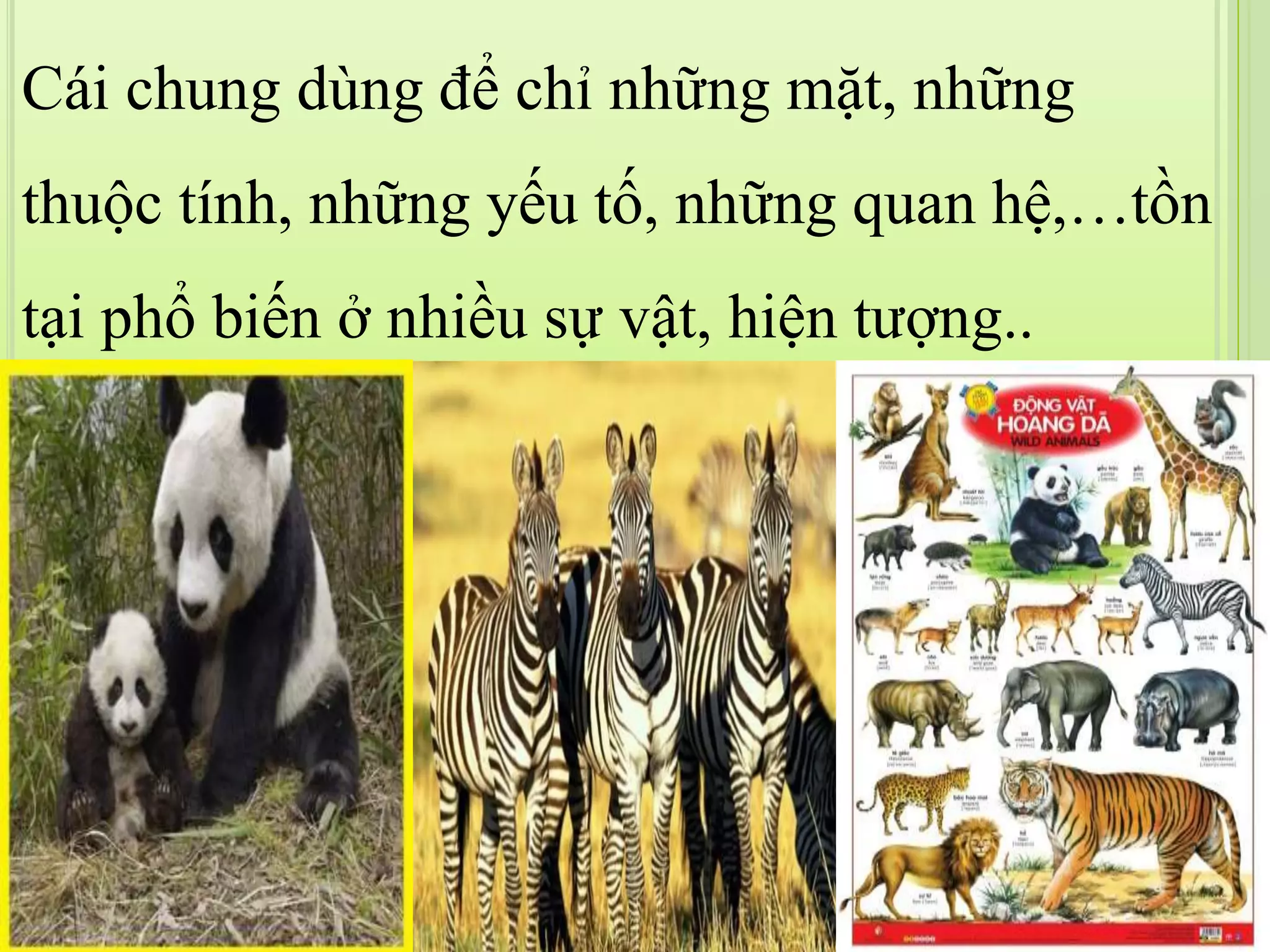 phạm trù nguyên nhân kết quả | PPTX