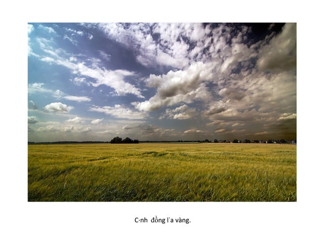 Ngay he tren nhung canh dong | PPS