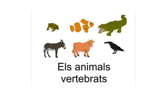 Els Animals Vertebrats | PPT