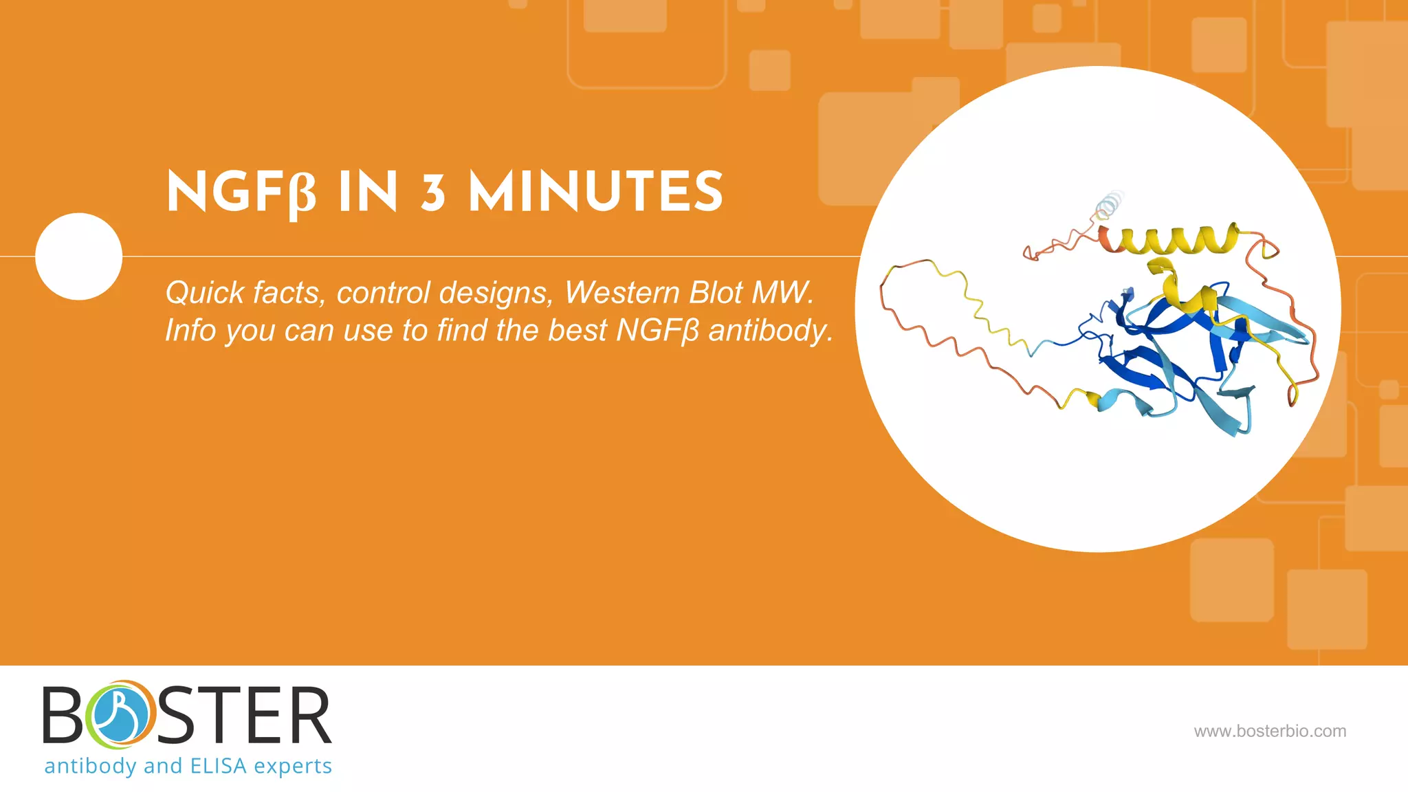Learn NGF/NGF Beta in 3 minutes | Beta-nerve growth factor | PPTX
