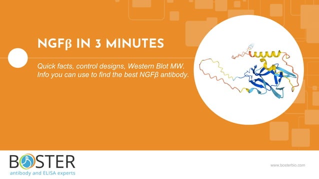 Learn NGF/NGF Beta in 3 minutes | Beta-nerve growth factor | PPTX ...