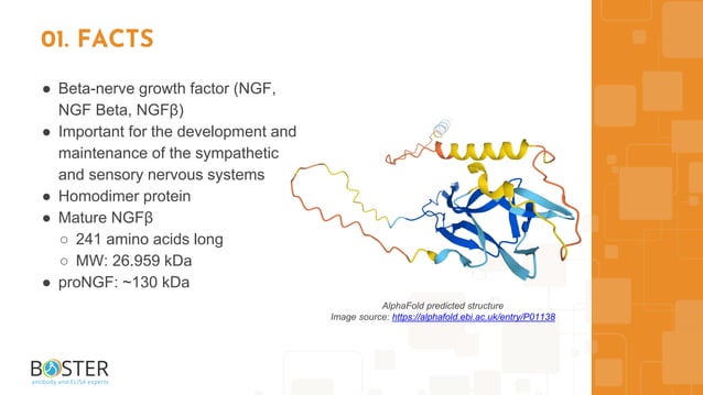 Learn NGF/NGF Beta in 3 minutes | Beta-nerve growth factor | PPTX ...