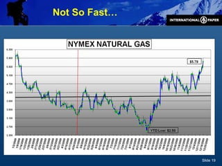 Natural Gas Hedging Presentation | PPT