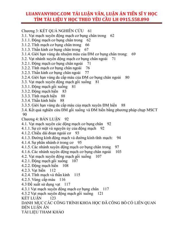 Nghien cuu giai phau cac vat mach xuyen dong mach co bung chan va dong ...