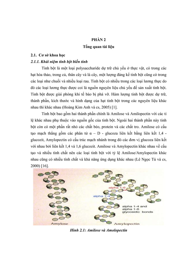 Nghiên cứu biến tính tinh bột dong riềng và tinh bột ngô bằng phương pháp acetyl hóa và ...
