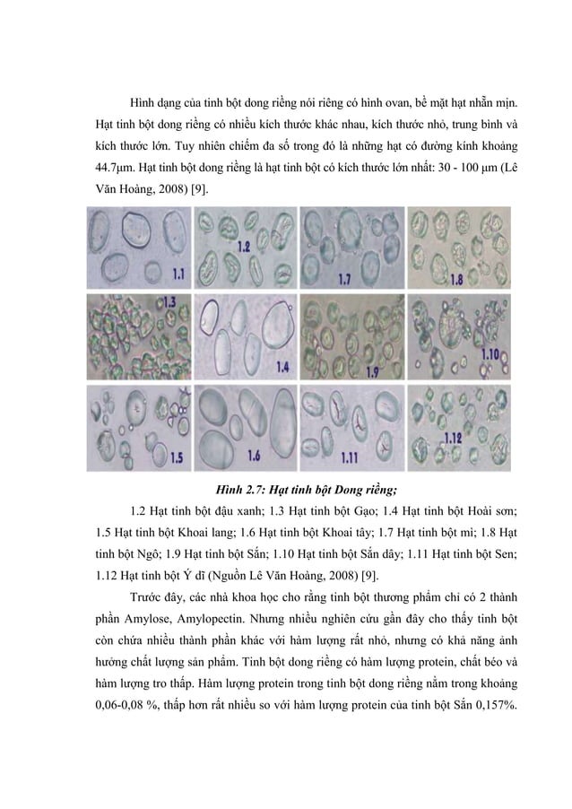 Nghiên cứu biến tính tinh bột dong riềng và tinh bột ngô bằng phương pháp acetyl hóa và ...