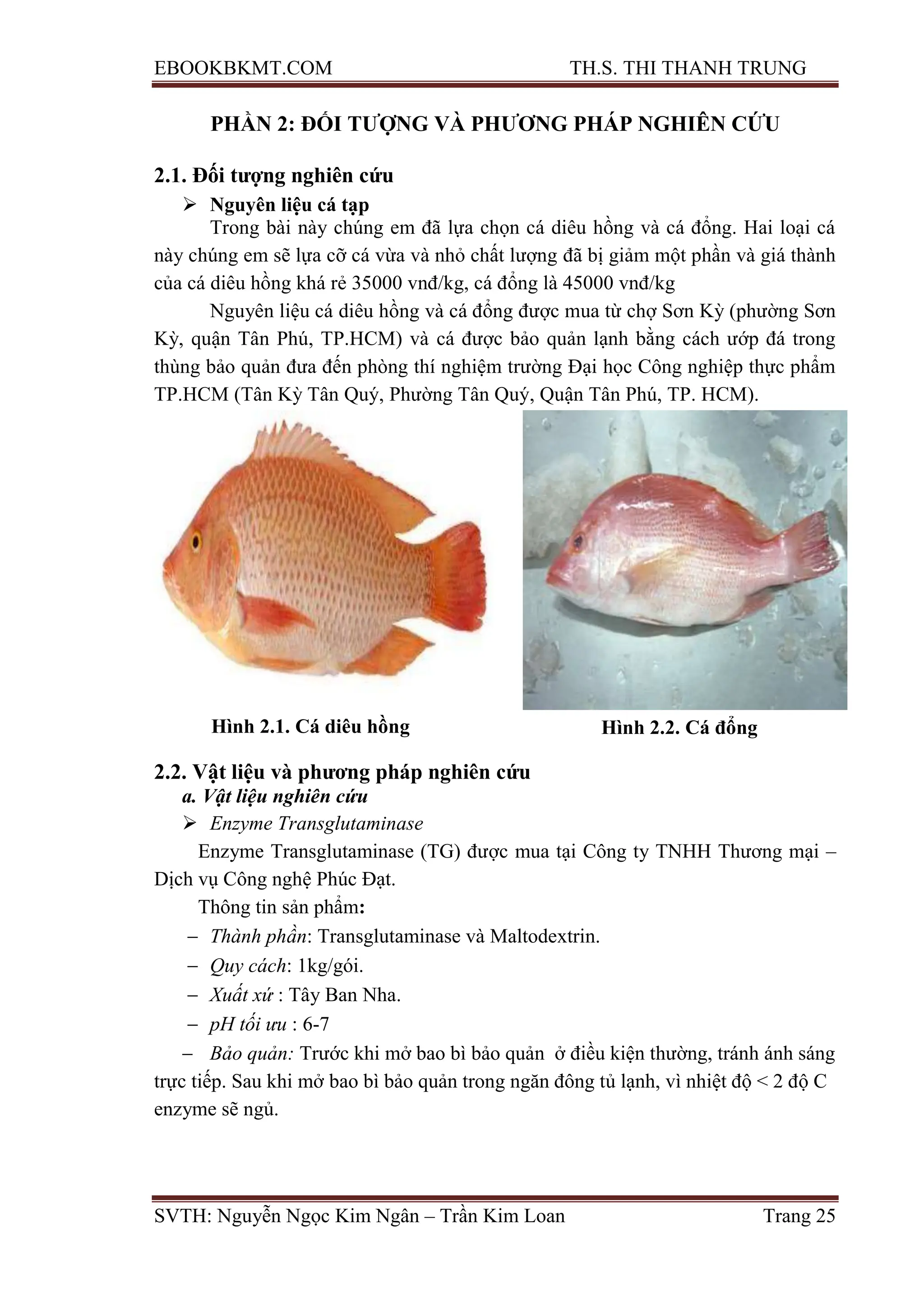 Nghiên cứu ứng dụng enzyme transglutaminase thương phẩm trong công nghệ ...