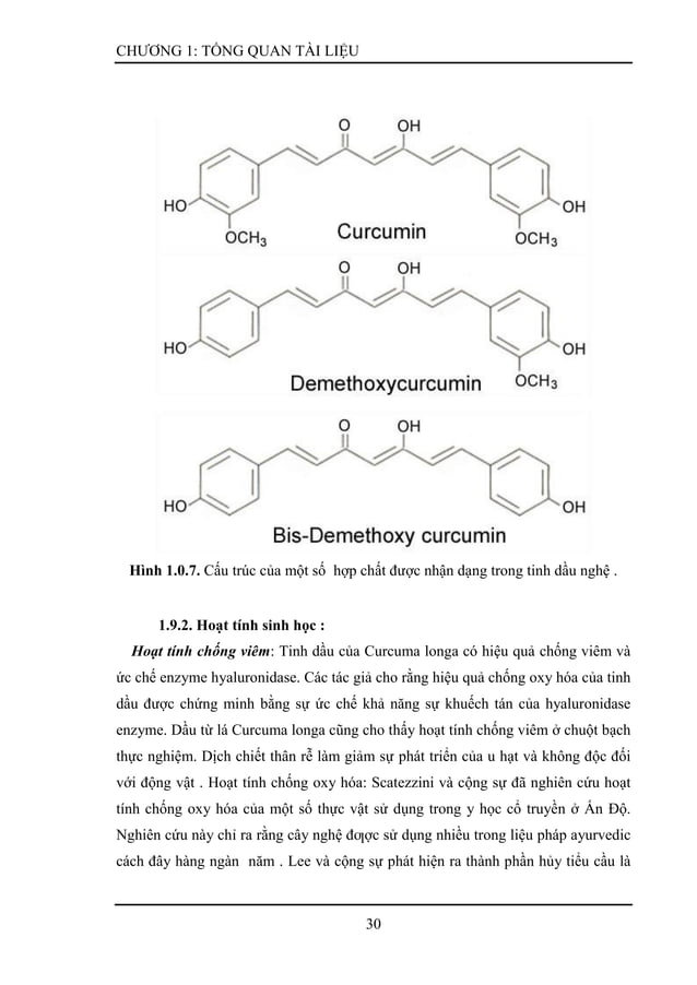 Nghiên cứu ứng dụng màng chitosan nano bạc - tinh dầu nghệ trong bảo quản nhằm nâng cao bảo quản ...