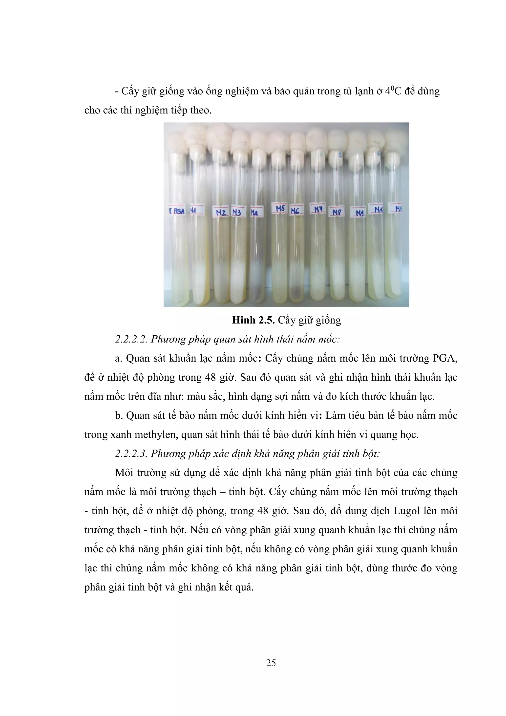 Nghiên cứu ứng dụng nấm mốc từ bánh men đề thu nhận enzym amylase | PDF