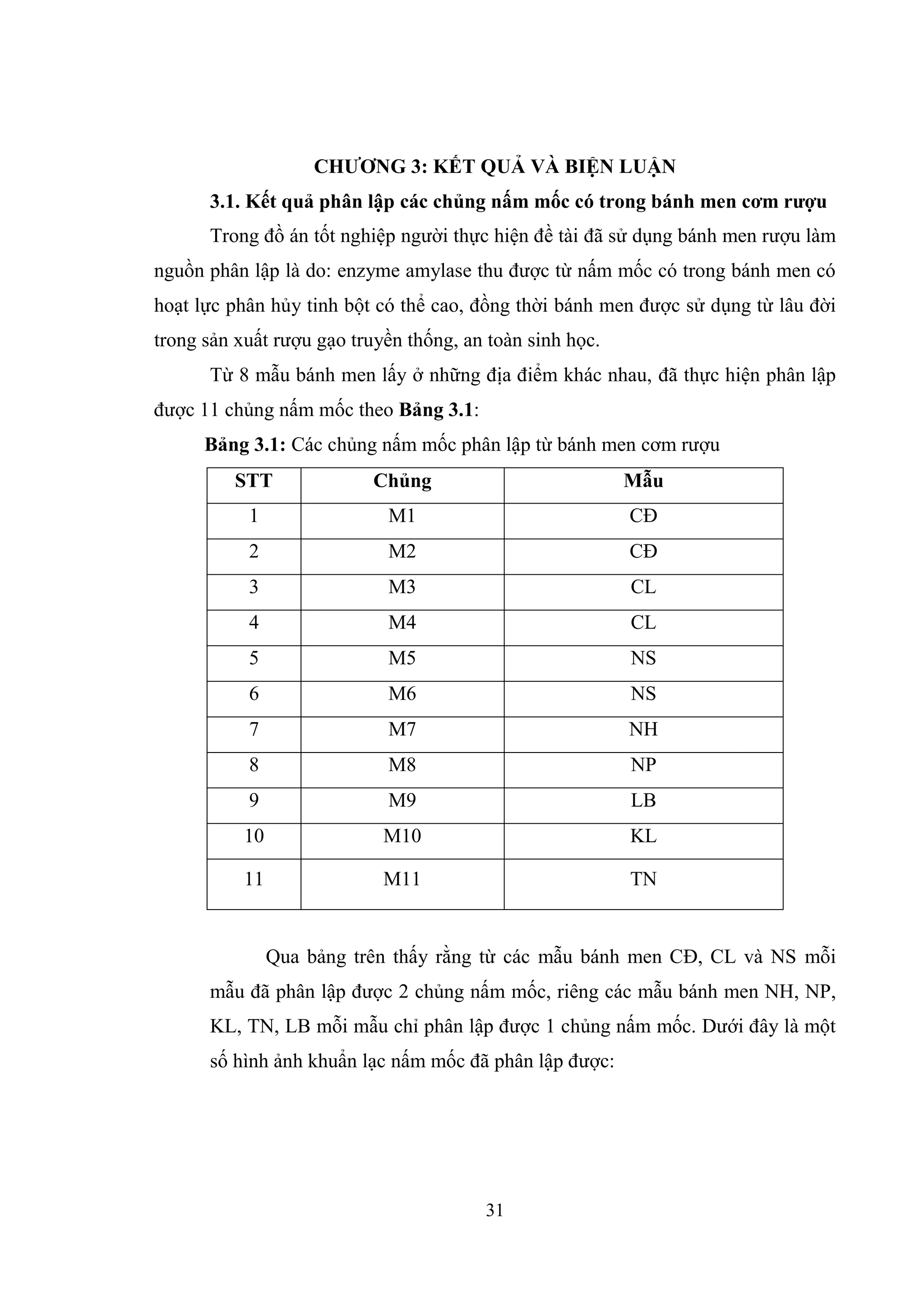 Nghiên cứu ứng dụng nấm mốc từ bánh men đề thu nhận enzym amylase | PDF
