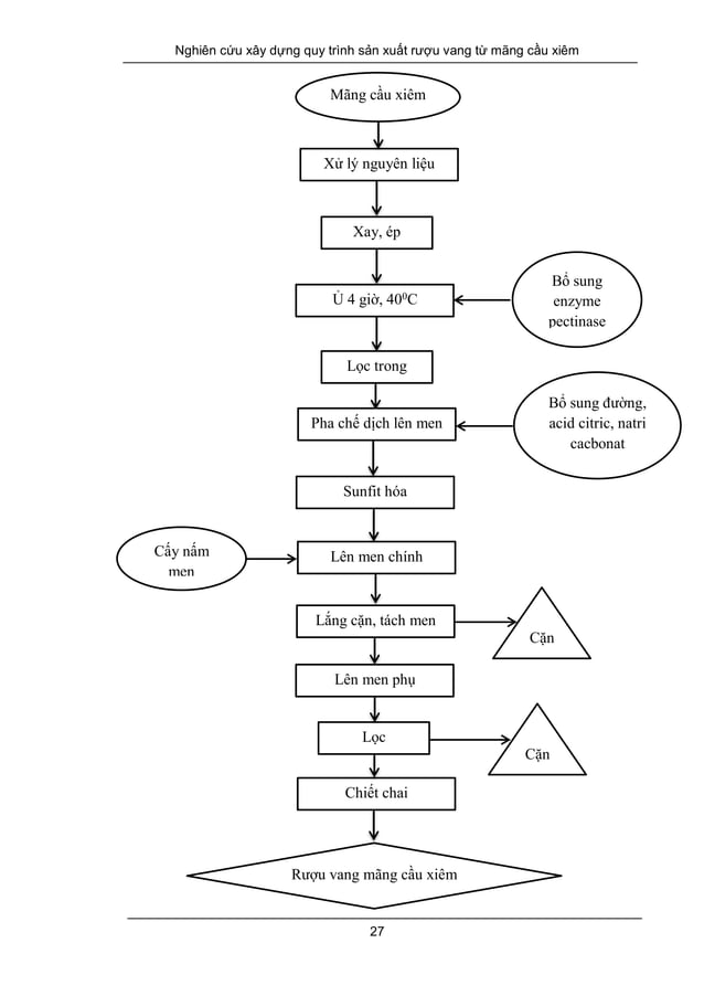 Nghiên cứu quy trình sản xuất rượu vang từ mãng cầu xiêm