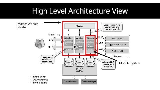 Nginx Architecture