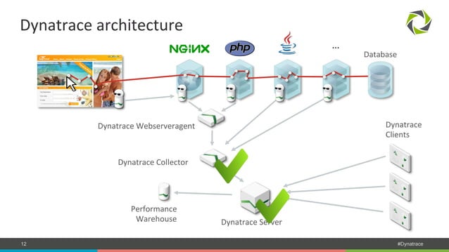 Nginx performance monitoring with Dynatrace | PDF