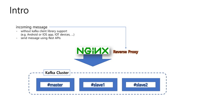 Nginx Reverse Proxy With Kafkapptx 