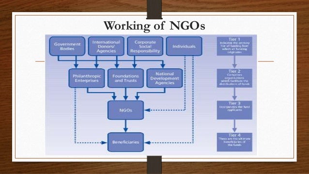 Ngo