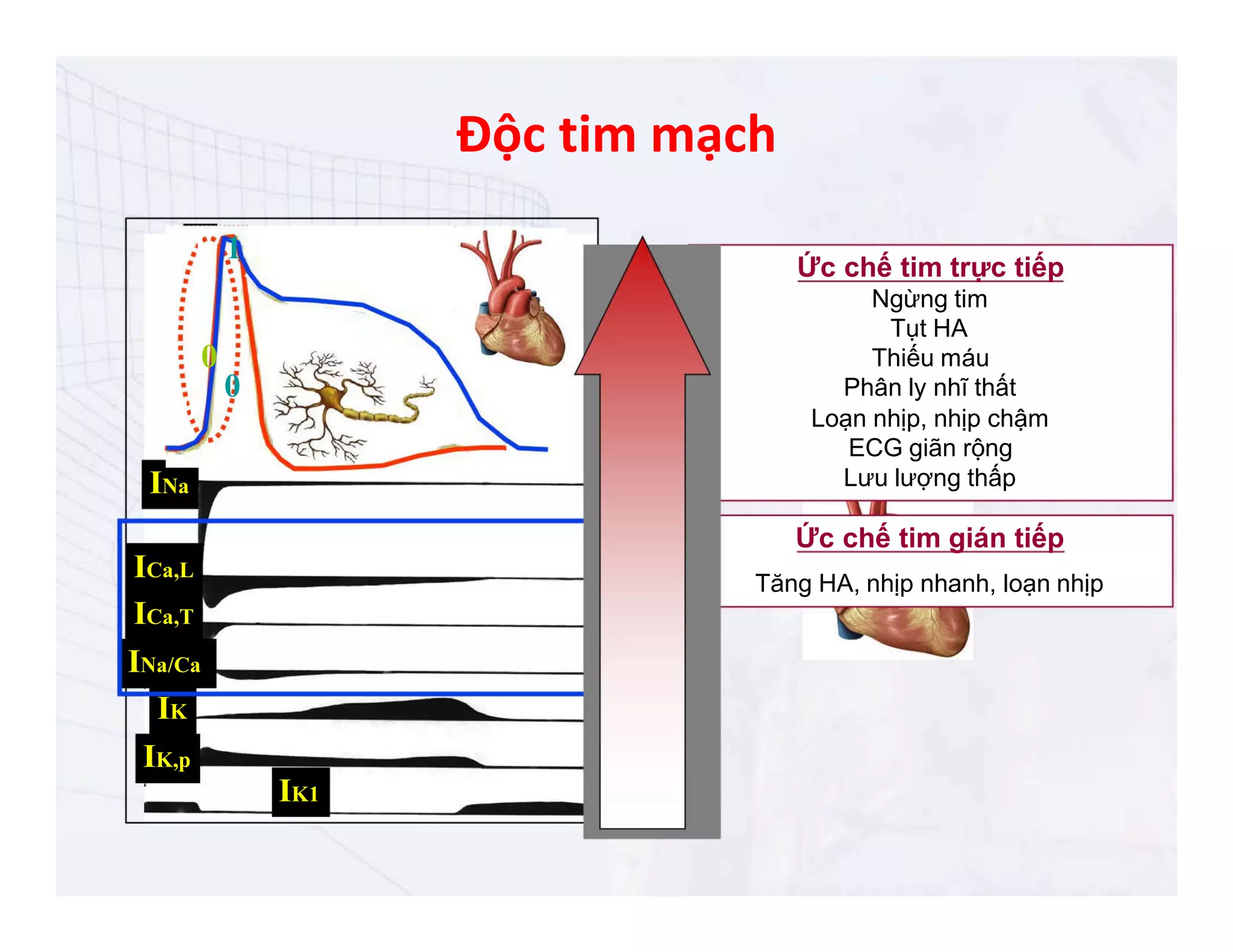Ngo doc-thuoc-te | PDF