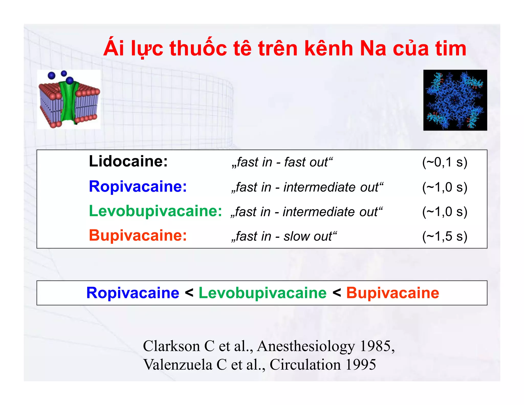Ngo doc-thuoc-te | PDF