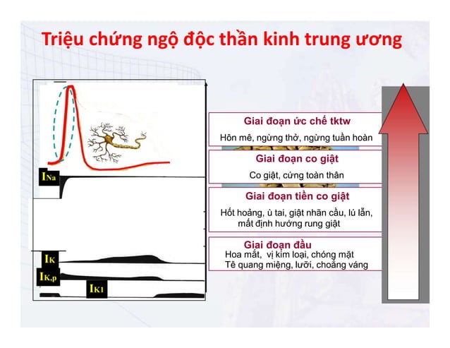 Ngo doc-thuoc-te | PDF