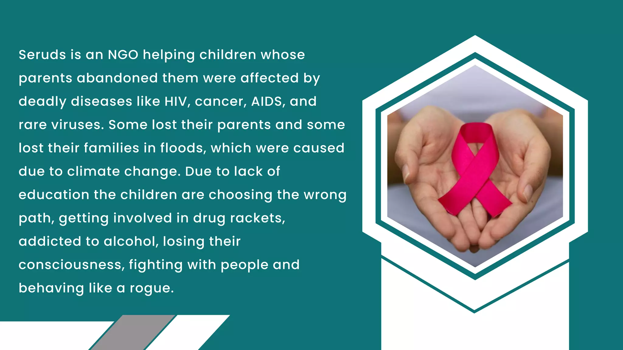 NGO awareness programs | PPTX