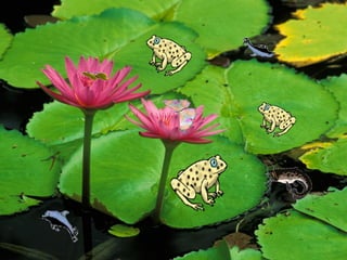 Bai Thuyet Trinh con ech_ GV Ngoc Yen | PPT | Reptiles | Pets