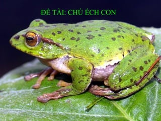 Bai Thuyet Trinh con ech_ GV Ngoc Yen | PPT