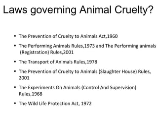 Ngo paws | PPT