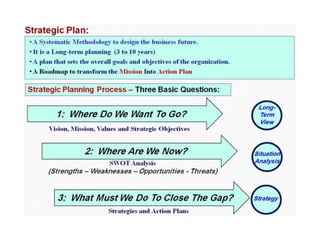 Ngo project management | PDF