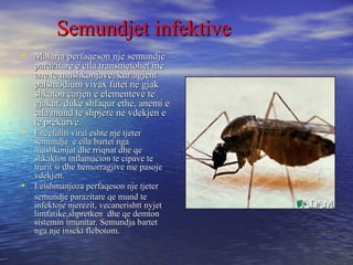 Ngrohja globale dhe pasojat ne shendet | PPT