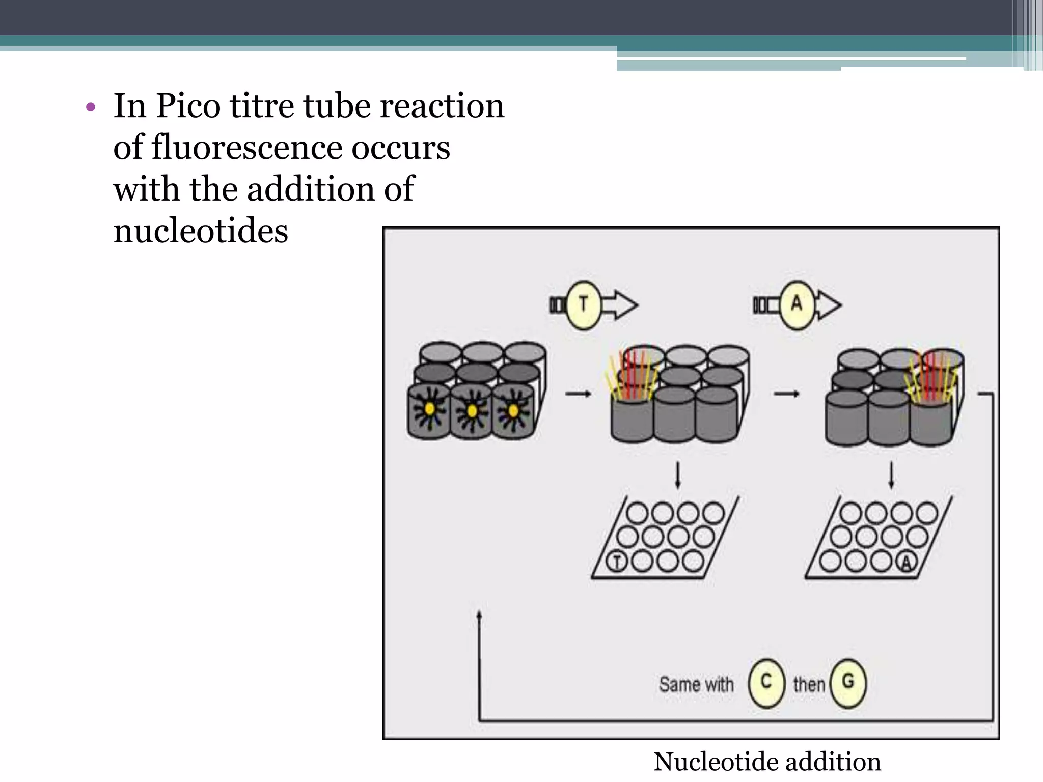 NEXT GENERATION SEQUENCING | PPTX