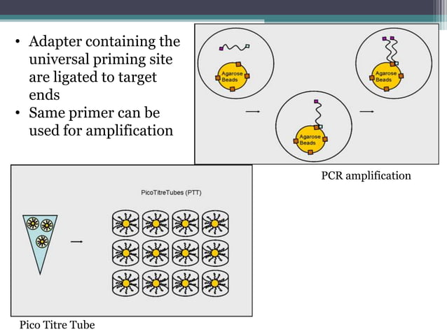 NEXT GENERATION SEQUENCING | PPTX