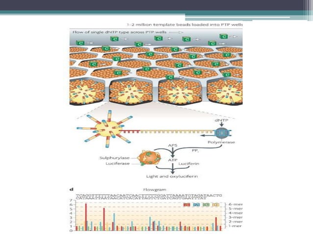 NEXT GENERATION SEQUENCING | PPTX