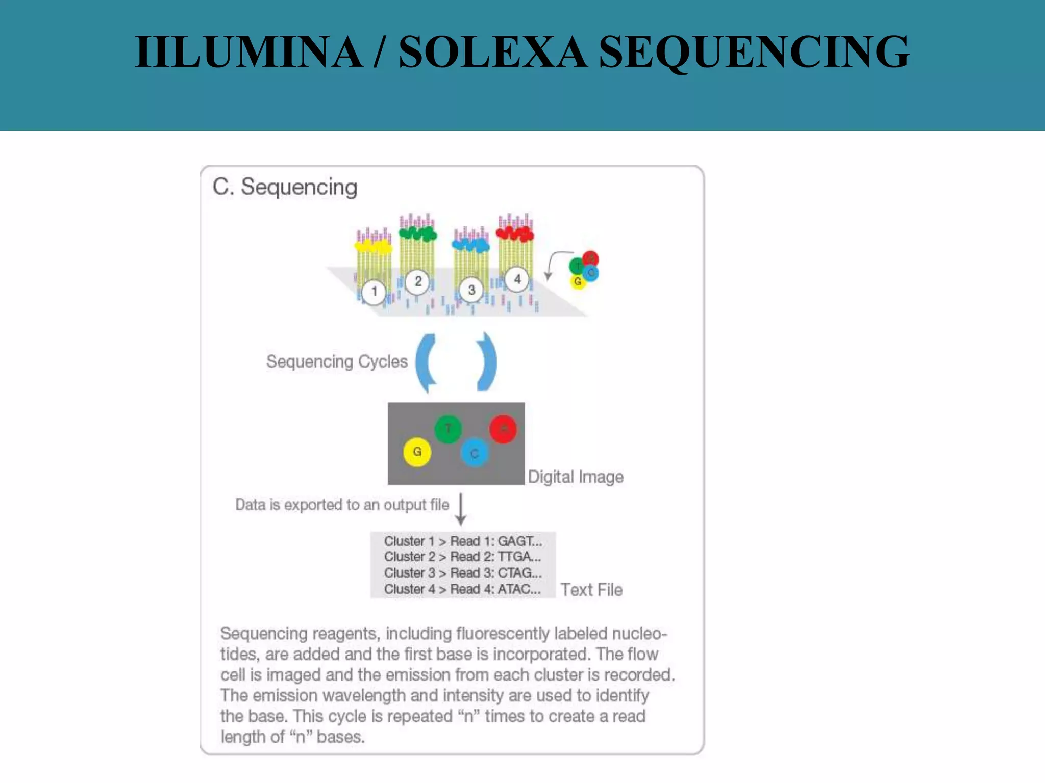 Next Generation Sequencing Pptx Biotech And Biomedical Industry