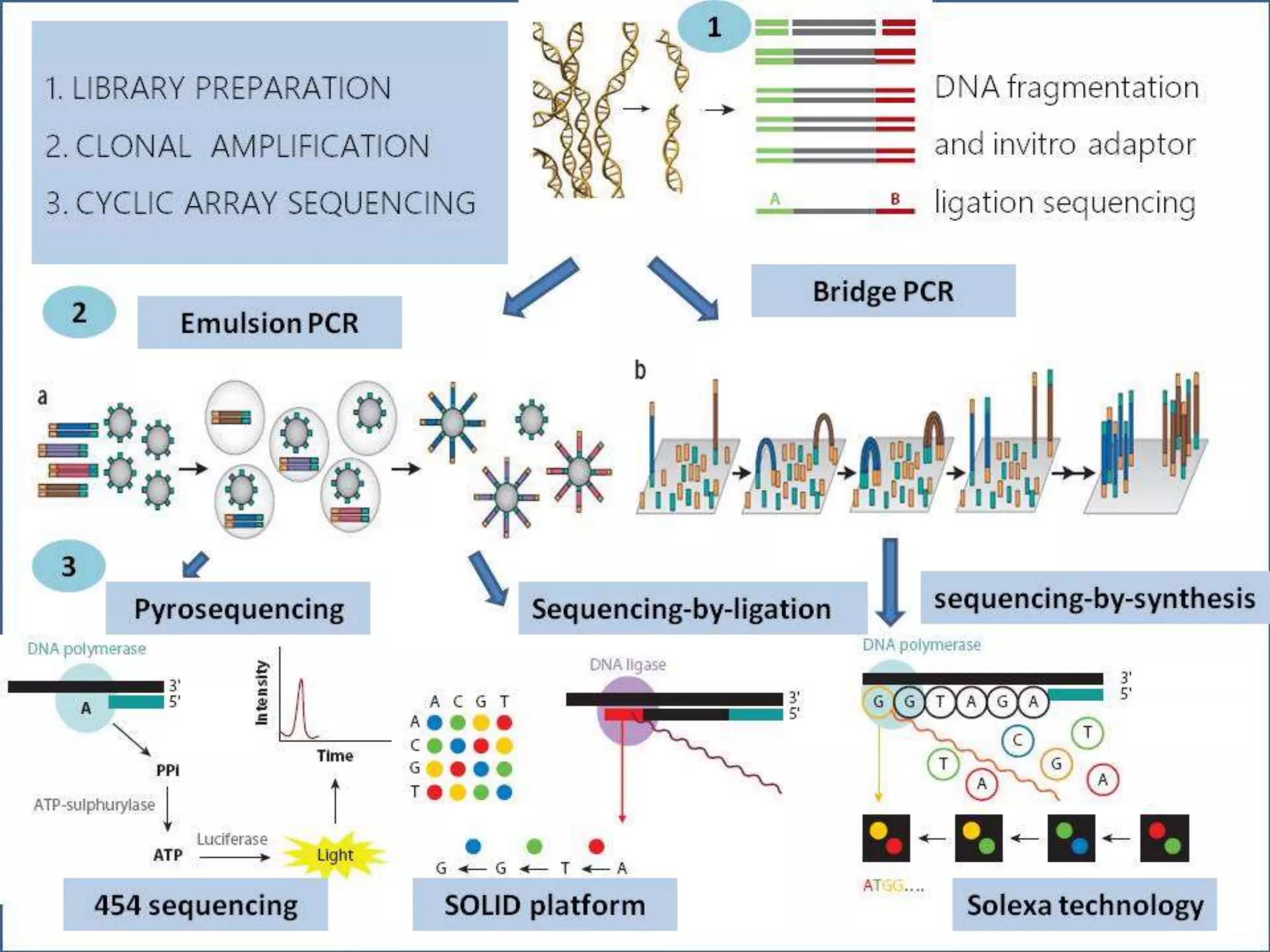 Next generation sequencing | PPT