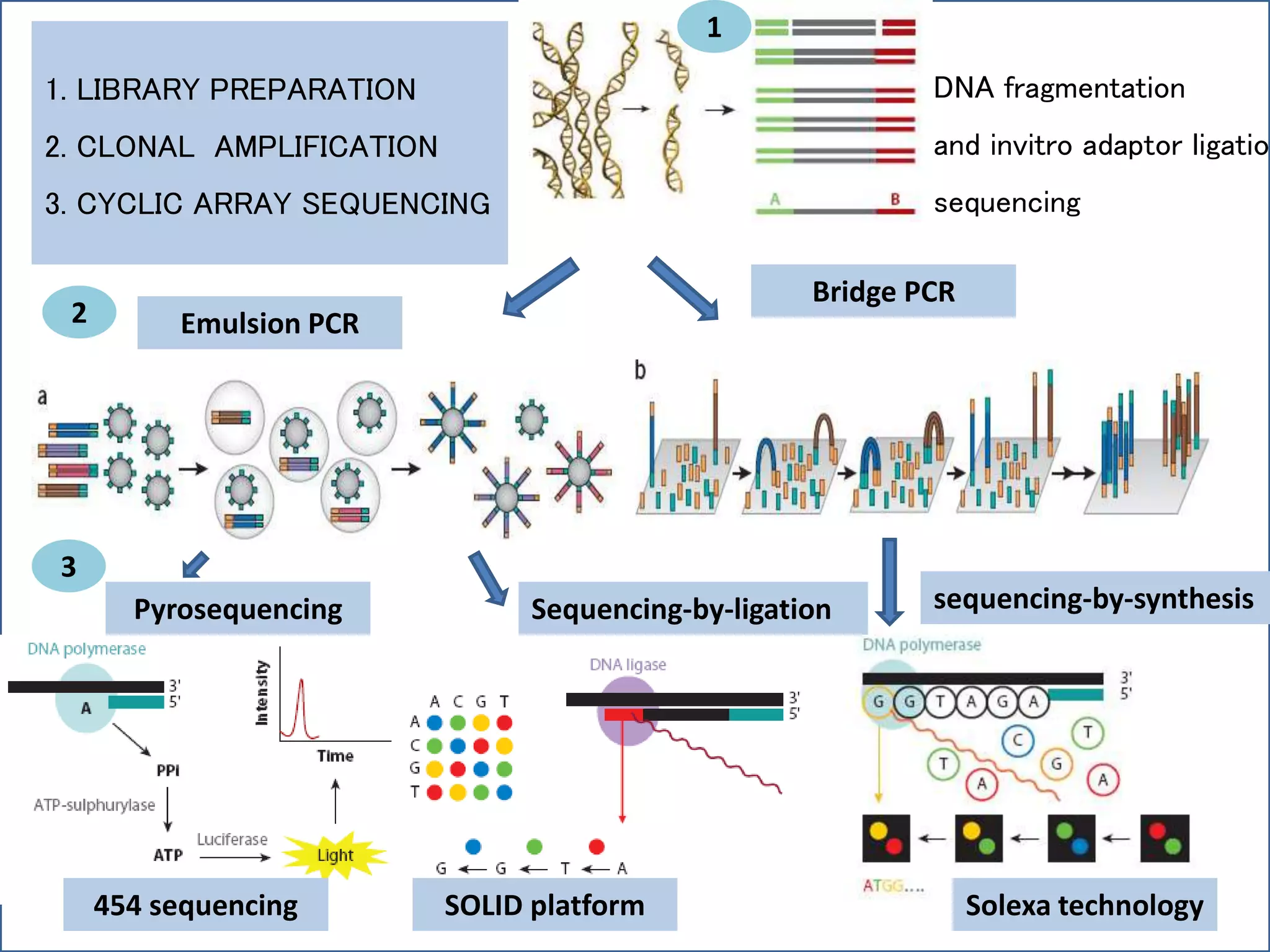 Next generation sequencing | PPTX