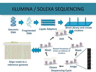 Next generation sequencing | PPTX