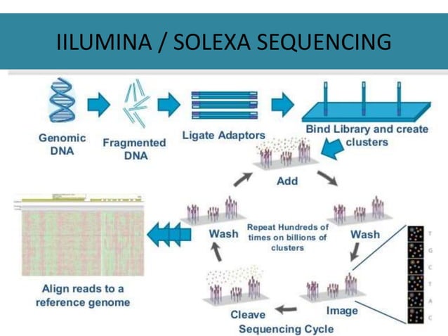 Next generation sequencing | PPTX | Biotech and Biomedical Industry ...