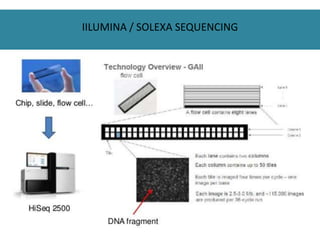Next generation sequencing | PPTX