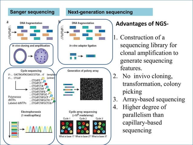 Next generation sequencing | PPTX | Biotech and Biomedical Industry ...