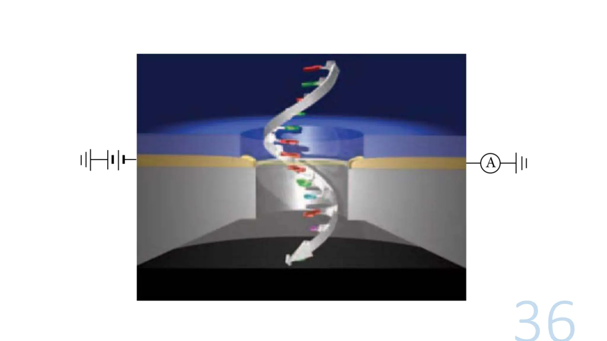 Next Generation Sequence Analysis and genomics | POTX