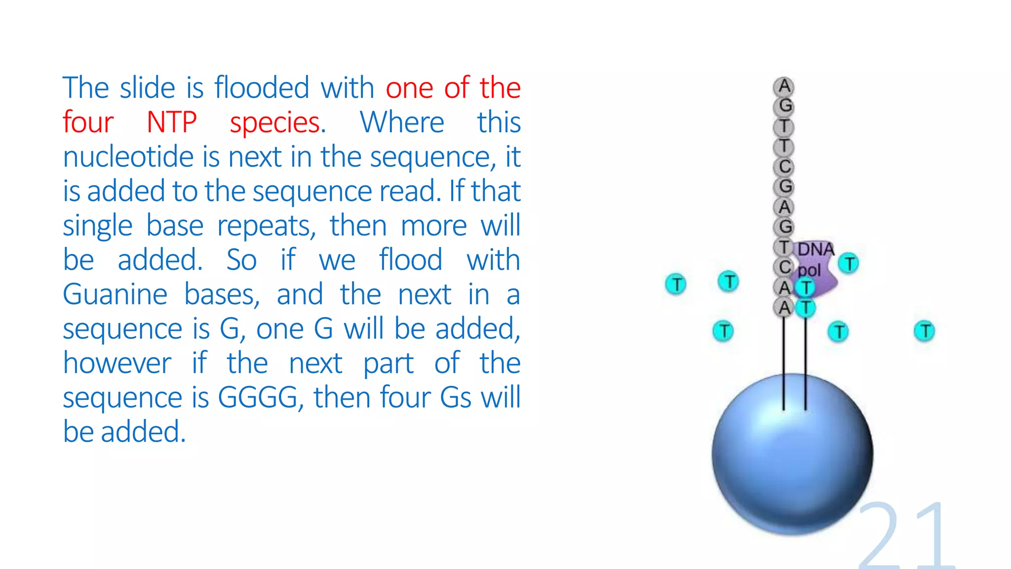 Next Generation Sequencing | PPSX