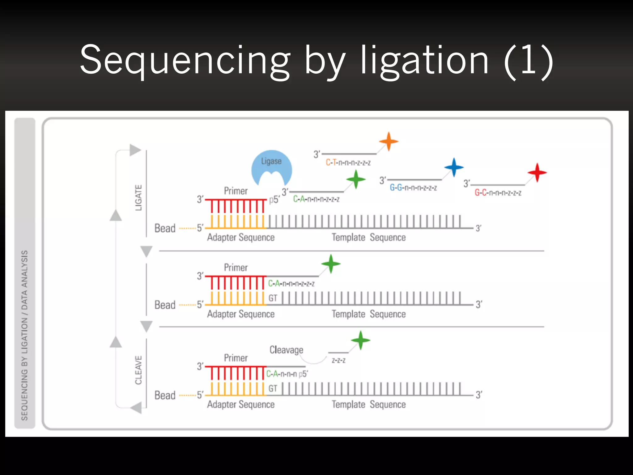 Next Generation Sequencing revolution (February 2010 - PhD retreat) | PDF