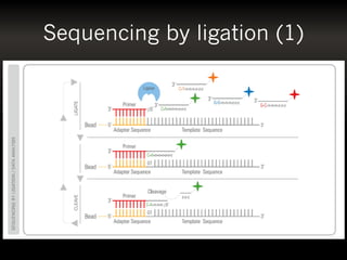 Next Generation Sequencing revolution (February 2010 - PhD retreat) | PPT