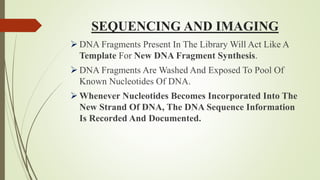 Next Generation Sequencing (NGS) | PPTX