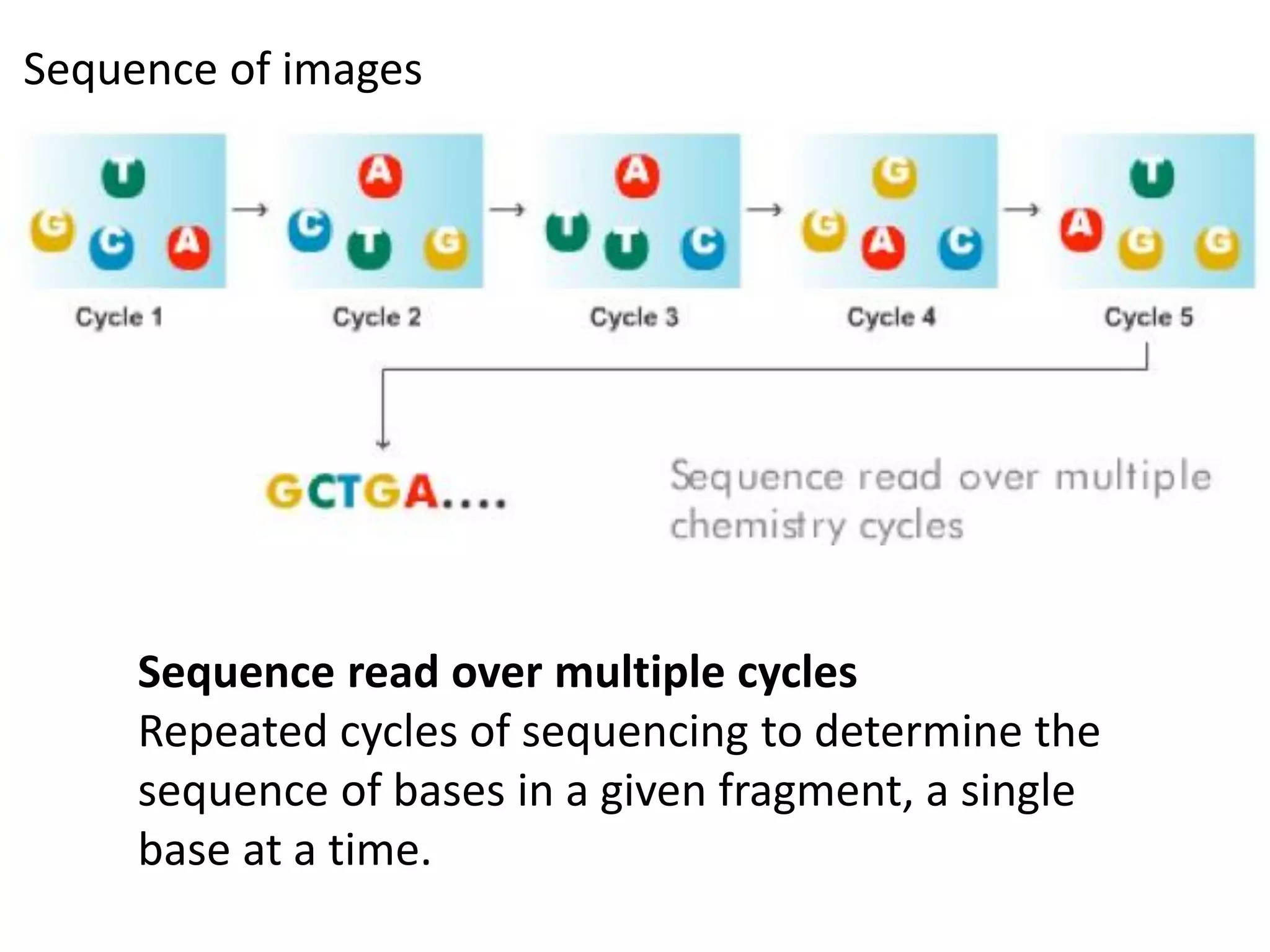 Next Generation Sequencing | PPT