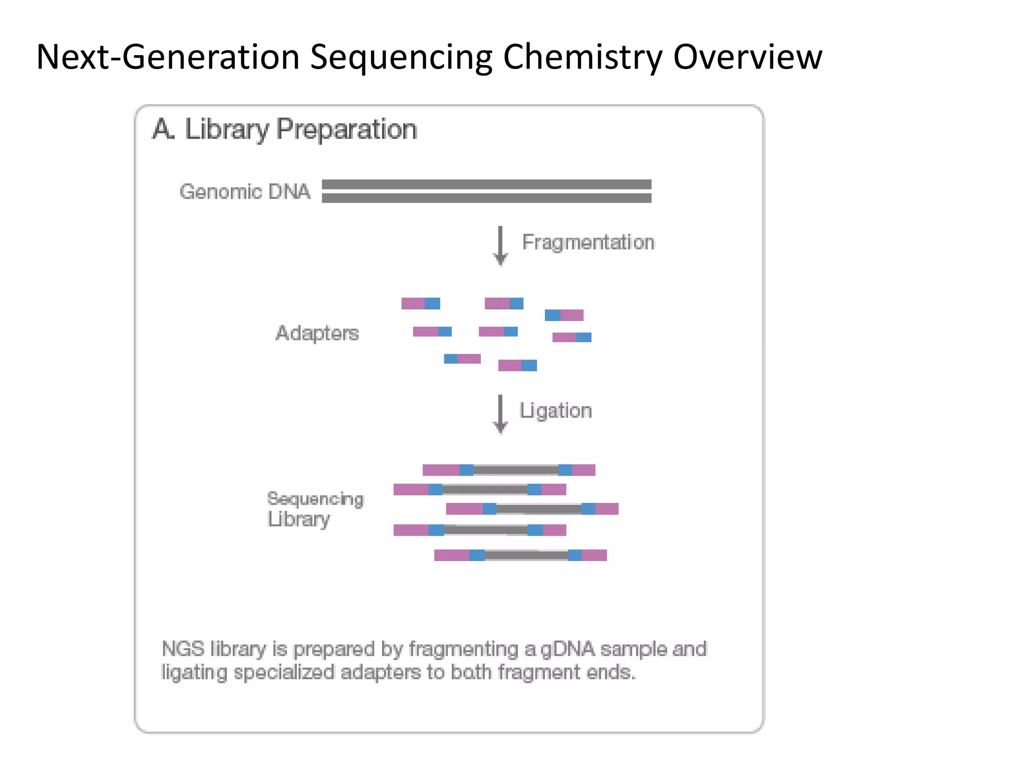 Next Generation Sequencing | PDF