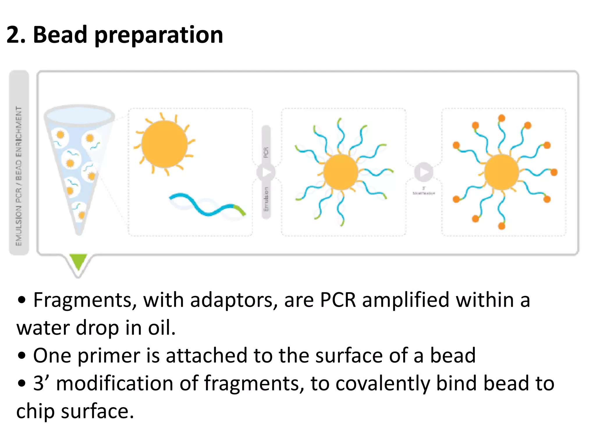 Next Generation Sequencing | PDF