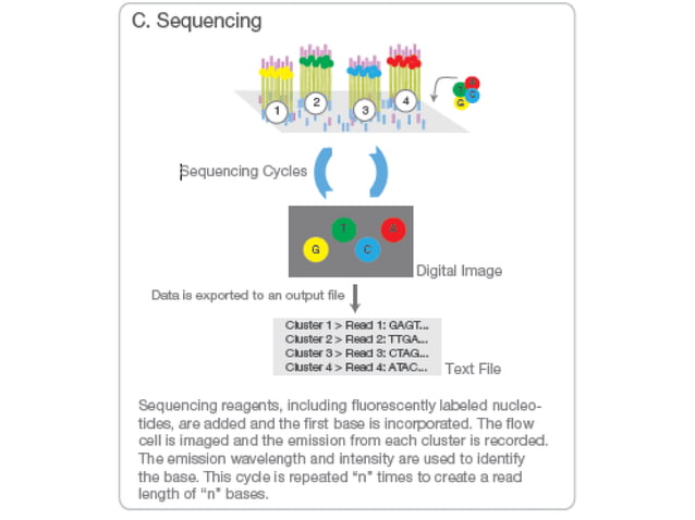 Next Generation Sequencing | PPT