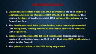Next Generation Sequencing | PPTX